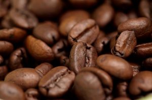 The societal impact of the coffee borer beetle, Hypothenemus hampei, on ...